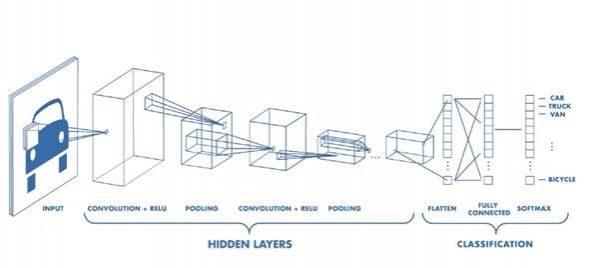 The Brain and Convolutional Neural Network (CNN) - Real-time Data ...